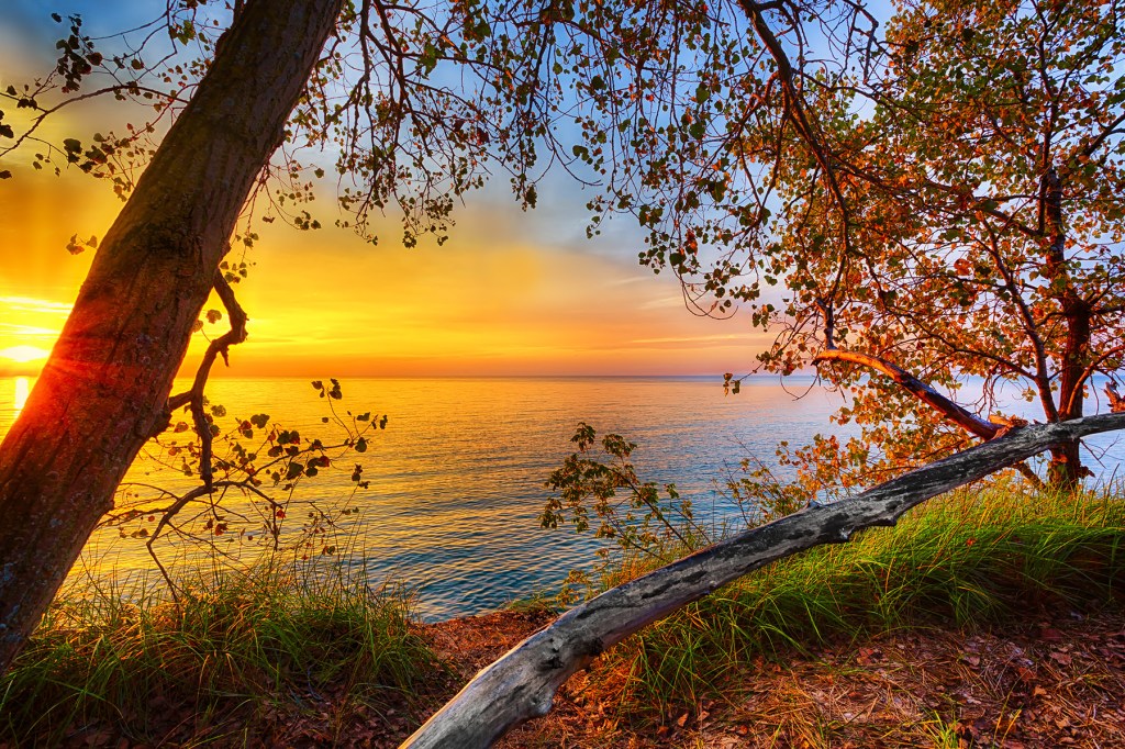 October | Indiana Dunes